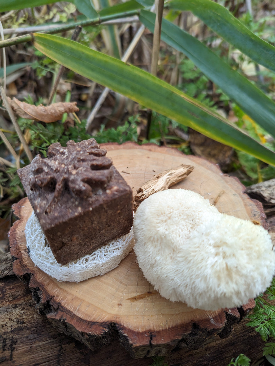 Shampoing solide aux champignons - chagua et crinière de lion – Calypso ...